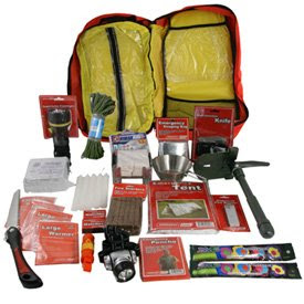 Winter #038; Snow Survival Kit